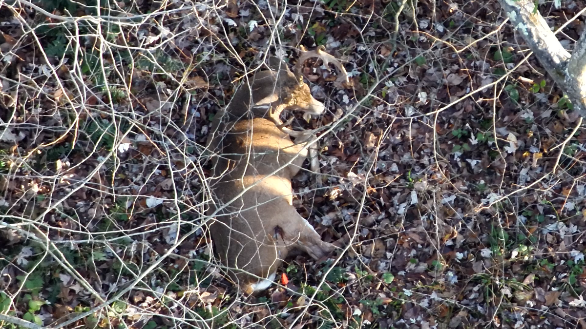 Drone Deer Recovery Services in Wisconsin | Find Your Deer Fast!
