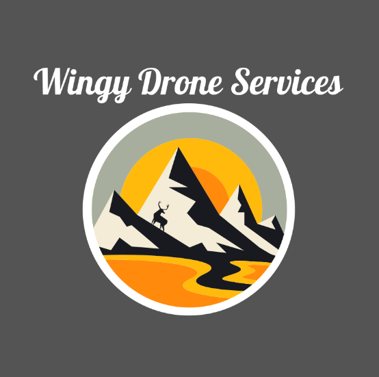Wingy Drone Services